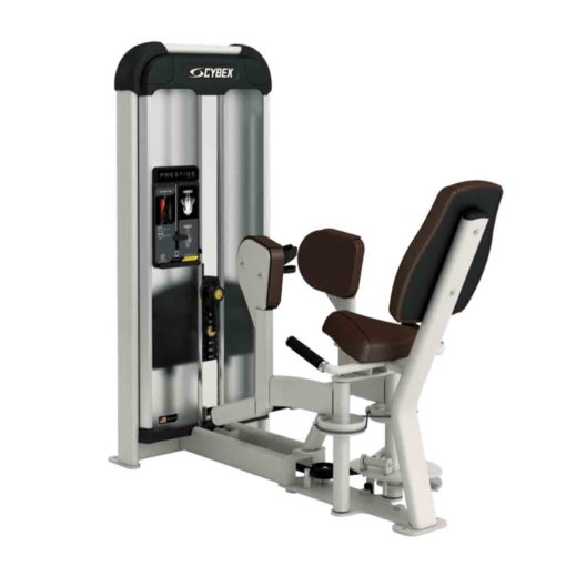 Cybex Prestige Abdominal | Used Gym Equipment