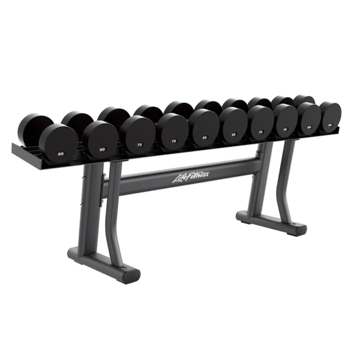 Life Fitness Signature Series 2 Tier Dumbbell Rack | Used Gym Equipment