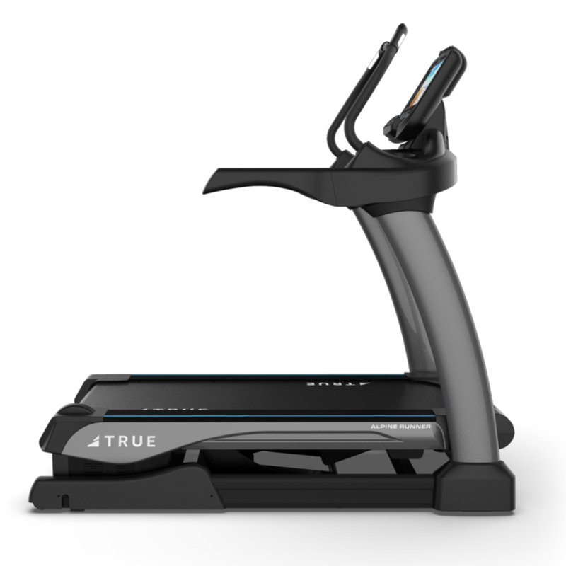 TRUE Alpine Runner Incline Trainer for Sale | Used Gym Equipment