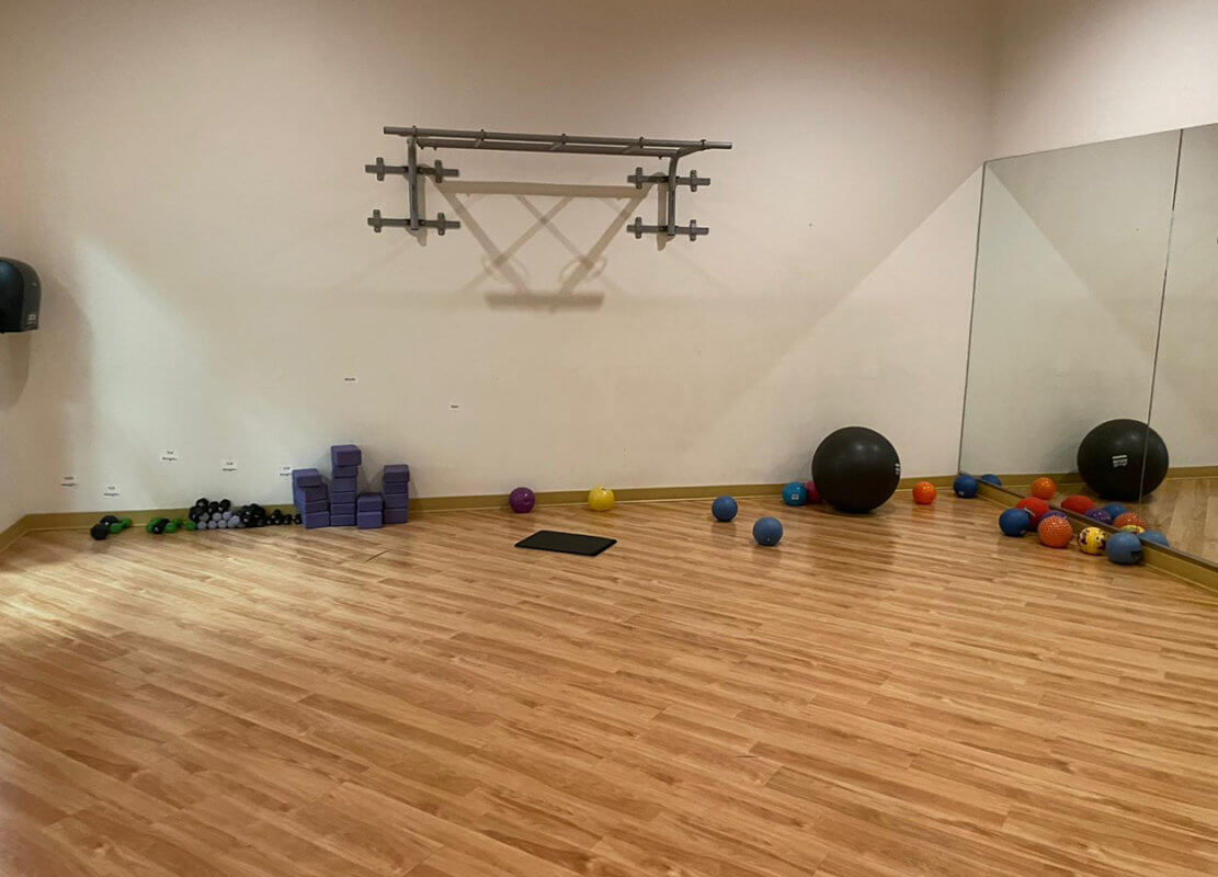 Technogym & Life Fitness Wholesale Gym Package for sale